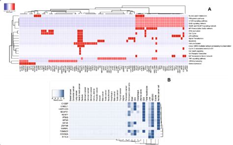 Pathway Enrichment Of Overall Identified Proteins Enrichment Heatmap