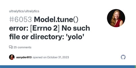 Modeltune Error Errno 2 No Such File Or Directory Yolo · Issue
