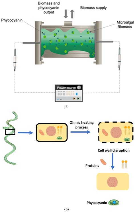 Microalgae Biomass Production From Rice Husk As Alternative Media Cultivation And Extraction Of