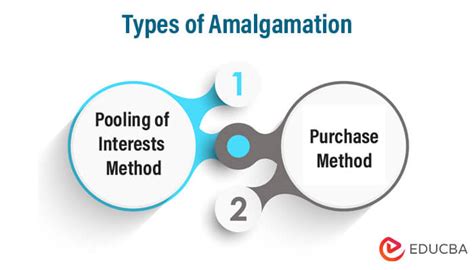 Amalgamation Objectives And Process Of Amalgamation With Types