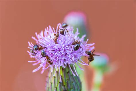 Bigboobsintinybikini Photos Download The Best Free Bigboobsin