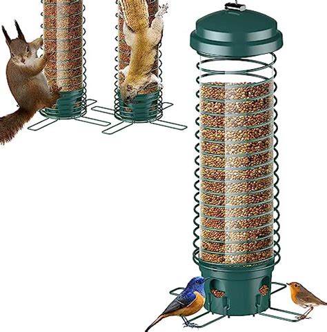 I Tested The Top 5 Best Squirrel Proof Bird Feeders Heres What