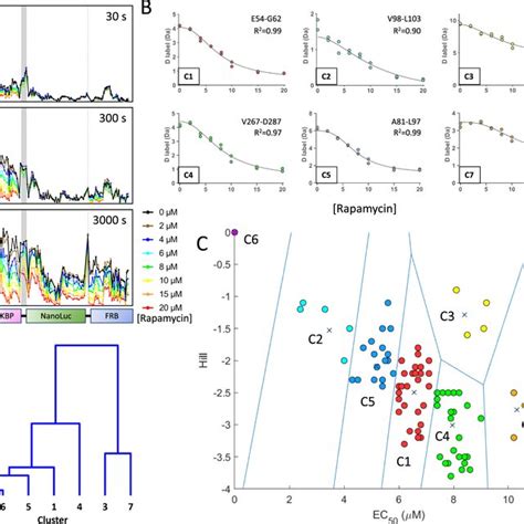 Binding Of Rapamycin Induces Significant Orthosteric And Allosteric