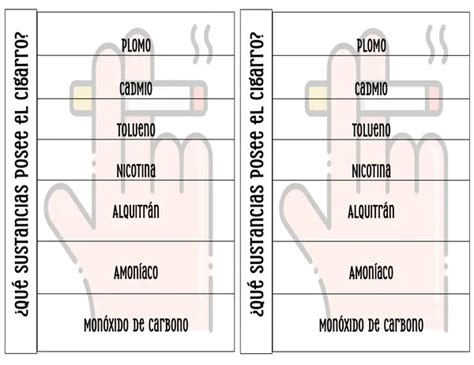 FLIPBOOK COMPONENTES DEL CIGARRO Profe Social