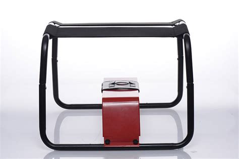 The Sex Stool Healthy And Active