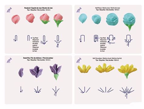 Cake Decorating Practice Sheet For Beginners Icing Piping Etsy