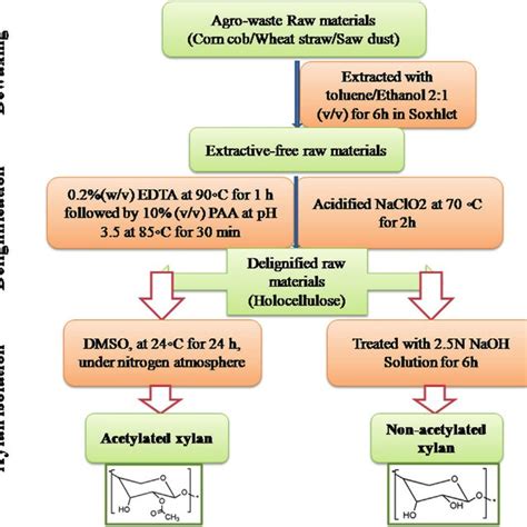 Represents The Steps Involved In Extraction Of Xylan Rich Hemicellulose Download Scientific