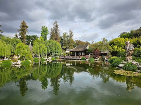 The Huntington Library Art Museum And Botanical Gardens Reviews