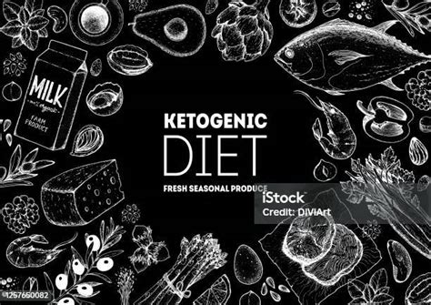 케토제닉 다이어트 스케치 음식 일러스트레이션 손으로 그린 벡터 그림 유기농 식품 다이어트 좋은 음식 일러스트 디자인 요소 손으로 그린 스케치 다양한 식품 프레임 유기농 식품