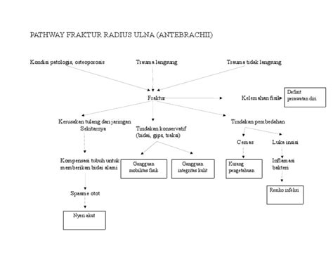 Pathway Fraktur Radius Ulna Pdf