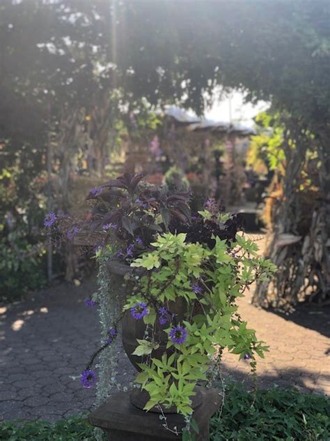 Enhance Your Space With Seasonal Flower Containers