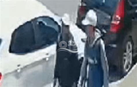VÍdeo Dupla Realizou Assalto A Mão Armada Em Loja Nesta Quarta Feira