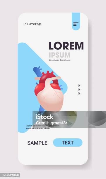 해부학 적 심장 구조 인체 내부 장기 해부학 의료 개념 의료 개념 스마트 폰 화면 모바일 앱 수직 복사 공간 평면 내부 기관에