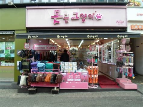 못된고양이 홍대점