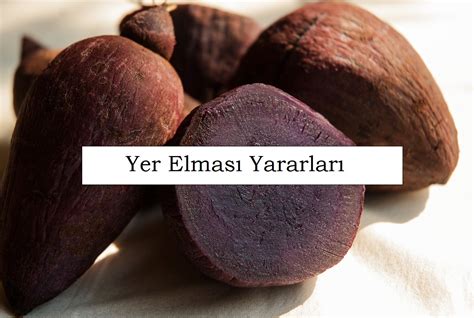 Yer Elması Yararları Nelerdir Gelecekten Net