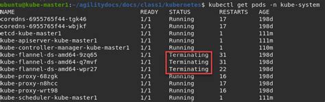 Appendix Replace Flannel W Calico