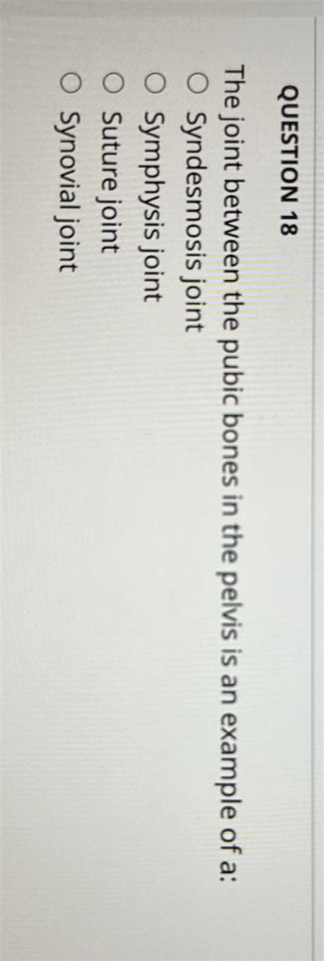 Question 18the Joint Between The Pubic Bones In The