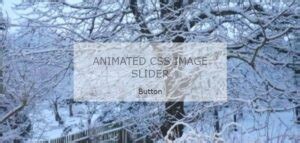 Automatic Image Slider In Html Css 2024 Updated