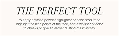 Rms Beauty Skin2skin Fan Brush Powder Brush Face Brush