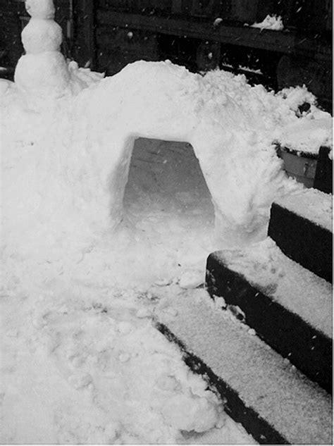 Snow Structures Makeshift Architecture Fueled By Dreams Snow