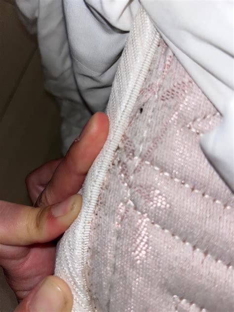 In Bali Right Now Is This A Bedbug Infestation Rbedbugs