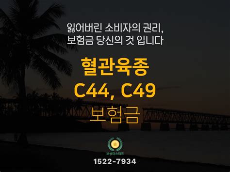 보상마스터즈 혈관육종 C44 C49 진단비 알면 쓸모있는 유용한