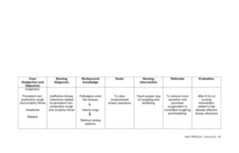 Solution Pneumonia Nursing Care Plan Studypool