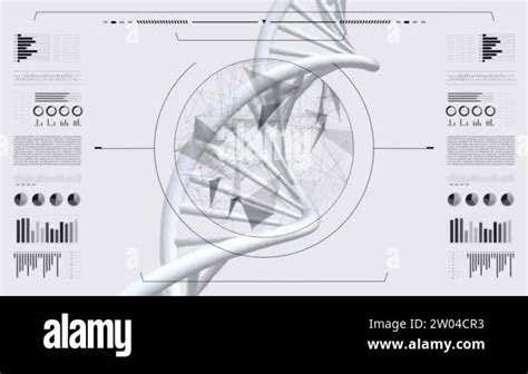 Dna Structure Deoxyribonucleic Acid 3d Animation For Medical