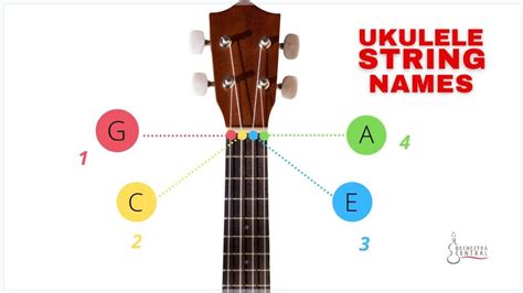 Ukulele Strings Size At Mary McGonagle Blog