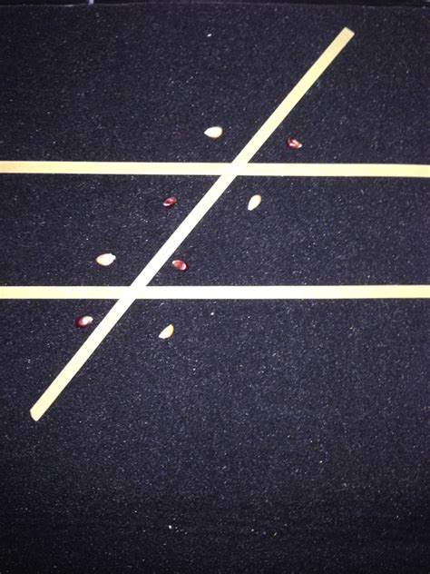 Transversal In Real Life