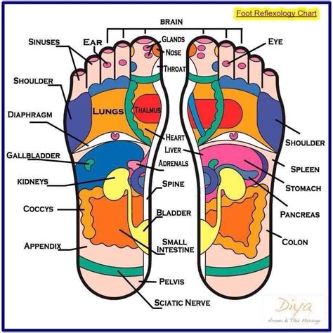 Welcome To Croydon Thai Massages Croydon Thai Massage Facebook
