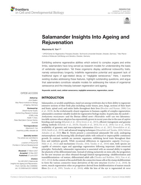 PDF Salamander Insights Into Ageing And Rejuvenation