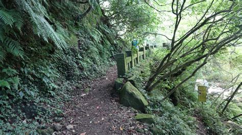 魚路古道 由八煙上行至擎天崗 走日人路與河南勇路各1 2 健行筆記