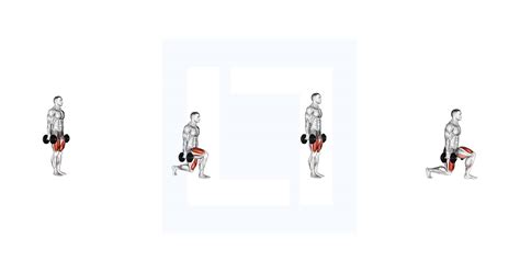 Dumbbell Sumo Squat Guide Benefits And Form