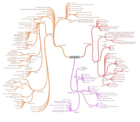Rna Virus 1 Coggle Diagram