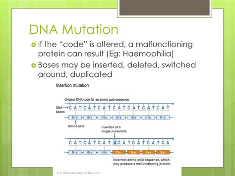 PP7 X Linked Inheritance Co And Incomplete Dominance Mutations And