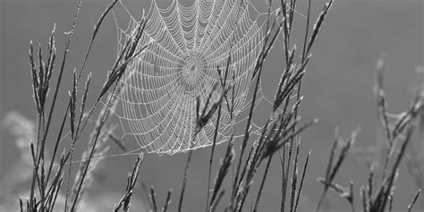 Dynamic Versus Static Risk Management Part 1