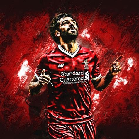 محمود رضا قنديل Youtube