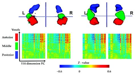 Functional Connectivity Based Parcellation Of Bilateral Hippocampus On