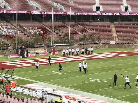 Stanford Has 470 Trees In The Stands As Pac 12 Doesnt Allow Fans In