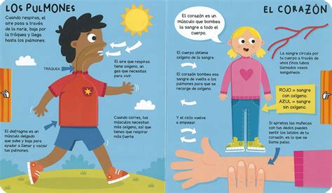 El Cuerpo Humano Editorial Susaeta Venta De Libros Infantiles