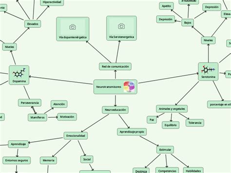 Neurotransmisores Mapa Mental Amostra