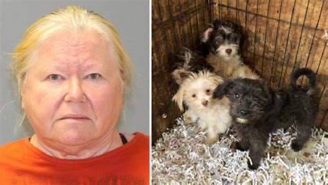 Woman Indicted After 44 Deceased Dogs Found In Nj Home 162 Dogs