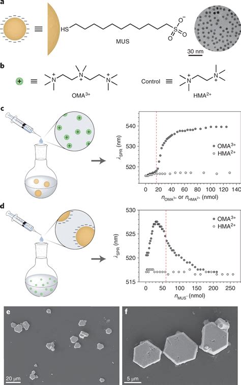 Electrostatic Co Assembly Of Negatively Charged Nps And Positively