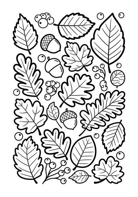 Free Fall Leaves Coloring Sheets 2025