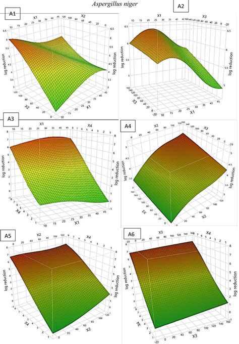 Artificial Neural Network For Fungal Spore Inactivation In The Clinical
