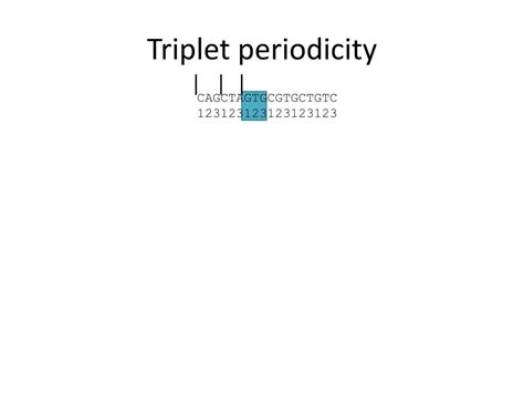 Ppt From Big Data To Relevant Data Ribo Seq And Its Applications