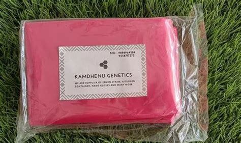 Disposable Plastic Hand Gloves At ₹ 200pack Disposable Plastic