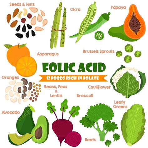 Four Forms Of Folate Simple And Practical Mental Health