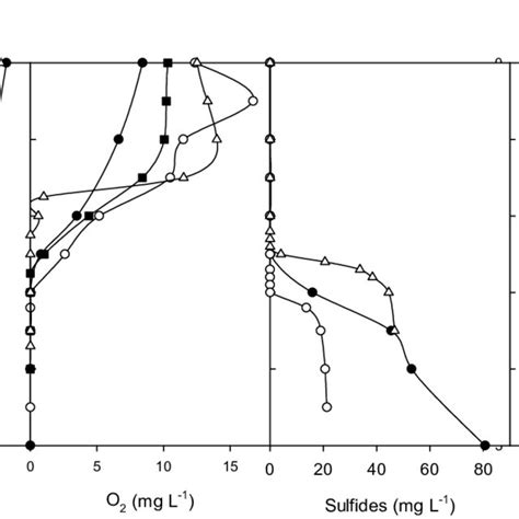 Vertical Distribution Of Temperature Dissolved Oxygen And Sulfide Download Scientific Diagram